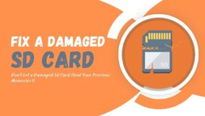 U1 vs U3 SD Card Explained: Which is Better for You